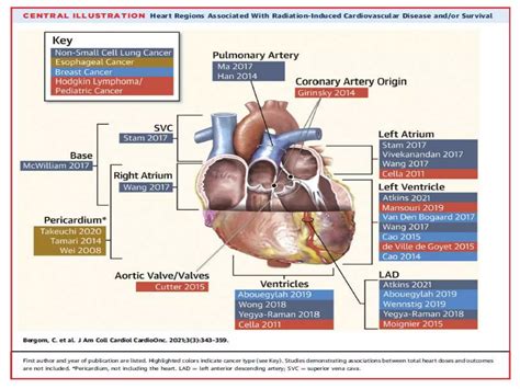 Radiation Induced Cardiac Diseases Pptx