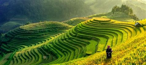 Premium Photo Panorama Symbol Of Vietnamese Rice Terraces Mu Cang