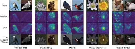 Figure 7 From Fine Grained Visual Classification Via Internal Ensemble