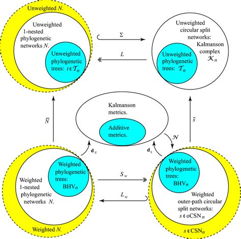 The Sets And Functions In This Paper Two Types Of Unweighted Networks Download Scientific