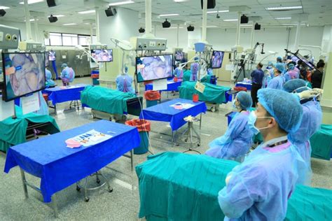 Hands On Cadaver Course Full Face Anatomy Dissection And Facial Fat