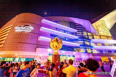 香港的「區花」：區徽區旗及硬幣上均有它，1965年被香港定為市花 每日頭條