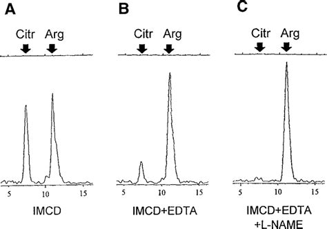 Chromatograms Demonstrating Hplc Separation Of Radiolabeled L Arginine