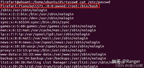Cve Dirtycow