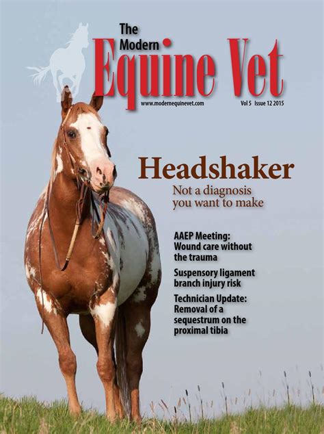 The Modern Equine Vet December 2015 By The Modern Equine Vet Issuu