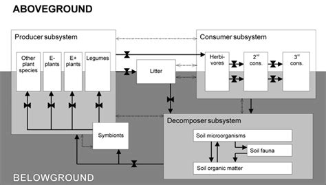 2 Generalized Model For The Control Of Ecosystem Functioning By Grass
