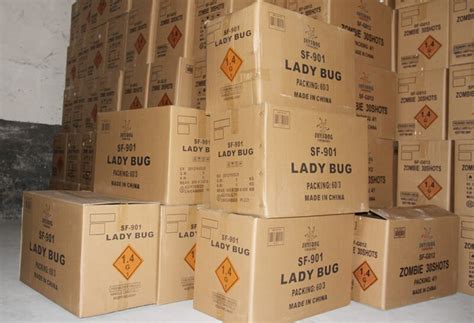 Lady Bug Skysong Fireworks