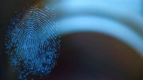 Navigating A New Era Of Compliance And Excellence With Selectamark