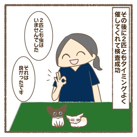 ぽん四郎ちゃん五郎との出会い〜測定できない子猫ちゃん達〜⑦ │ 真鍋はまのねこまんが