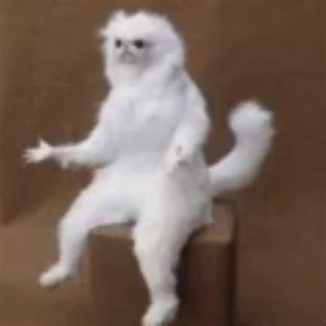 سعيد مجيد ابو ثور Youtube