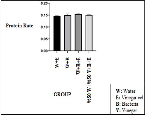 Total Protein Values Of Different Groups Download Scientific Diagram