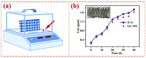 A Experimental Setup Used For H S Detection Of The Emission Of Download Scientific Diagram