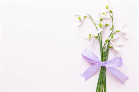 텍스트에 대한 장소와 분홍색 배경에 신선한 스노우 드롭 봄 인사말 카드 0명에 대한 스톡 사진 및 기타 이미지 0명