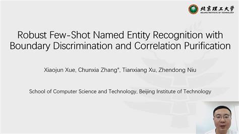 Robust Few Shot Named Entity Recognition With Boundary Discrimination And Correlation