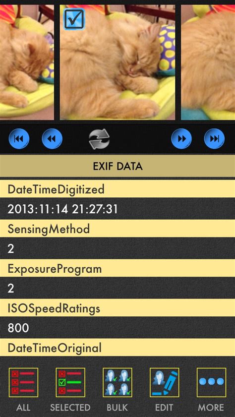Exif Tool