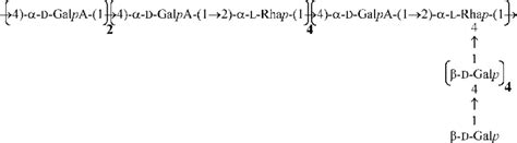 Schematic structure of ASP2. | Download Scientific Diagram