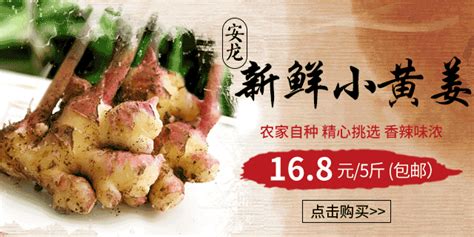 好姜不辣嗓細潤富油的安龍小黃姜家庭烹飪的靈魂味道 每日頭條