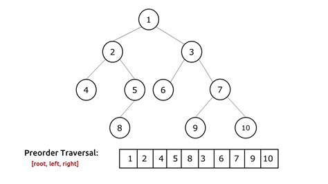 【数据结构与算法】二叉树（基本操作和几种特殊二叉树介绍） 特殊树包含哪些算法 csdn博客
