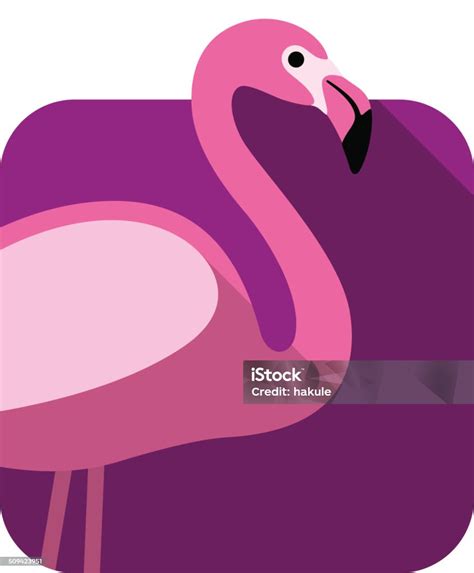 Flamingo 야생조류 평편 아이콘크기 홍학에 대한 스톡 벡터 아트 및 기타 이미지 홍학 귀여운 그림자 Istock