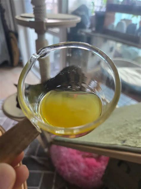 올리브레몬샷~🍋 꼭 마셔주고 있어요 캐시닥 커뮤니티