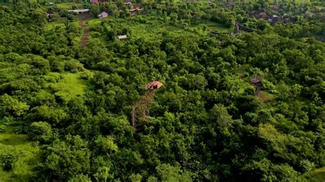 「rish」の画像 341 件の Stock 写真、ベクターおよびビデオ Adobe Stock