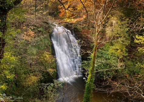 Falling Foss The North Yorkshire Gallery