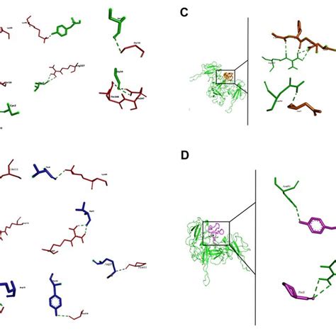 Molecular Dynamic Simulation Plots By Gromacs Rmsd Rmsf Radius Of Download Scientific