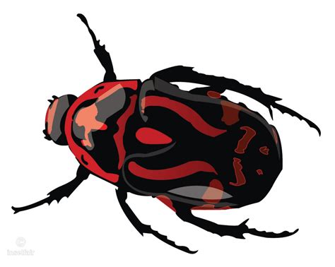 Beetle Vector At Collection Of Beetle Vector Free For