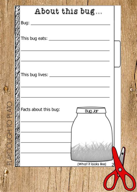 My Bug Book Activity Playdough To Plato