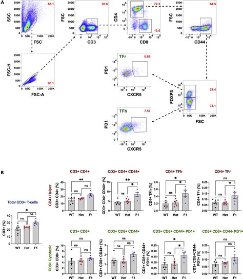 Serotonin 1a Receptor A Psychiatric Disease Risk Factor Influences Offspring Immunity Via Sex