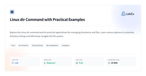 Linux Dir Command With Practical Examples Labex