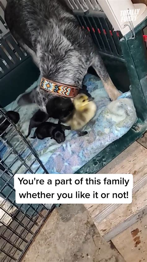 James Wratten Facebook