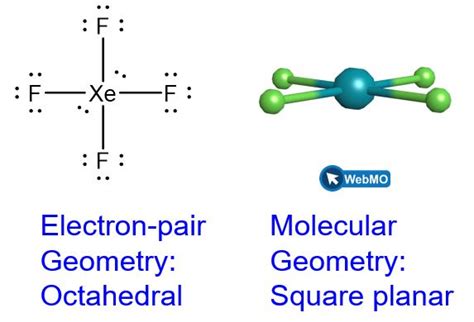 Xenon Tetrafluoride Hybridization