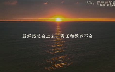你不停的翻着评论，希望有人讲出你的故事。评论整理，看看有你的故事吗？ 哔哩哔哩