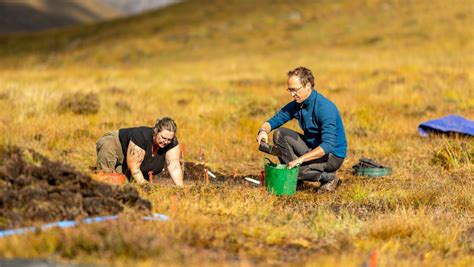 Equality Diversity And Inclusion Statement Scotlands Archaeology