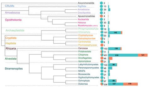 Protist Taxonomic And Functional Diversity In Aquatic Ecosystems Of The