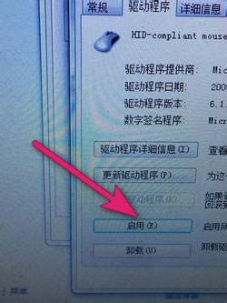 华硕笔记本触摸板已禁用在哪开启 新知