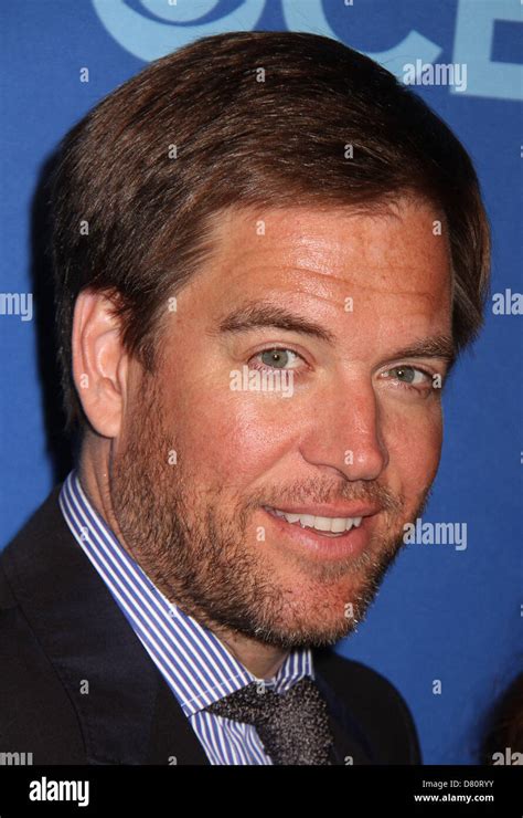 New York Usa 15th May 2013 Actor Michael Weatherly Attends The 2013
