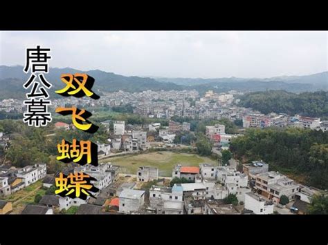 堪舆风水风水局宝地龙穴阴宅墓地阳宅风水教学 走进广西平南分享唐公幕手笔双飞蝴蝶 YouTube