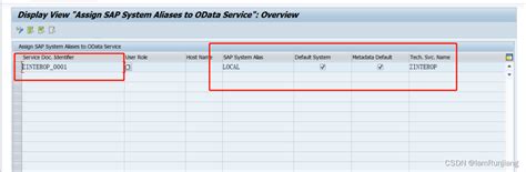 SAP Fiori 问题收集 sap fiori 加载目录失败 CSDN博客