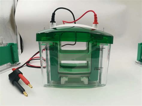 2 Gel Precast Gel Mini Protein Electrophoresis Cell China Gel Electrophoresis And Western Blot