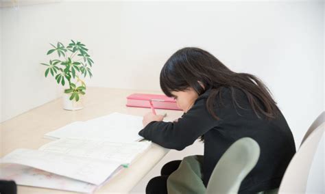 Pgce In Primary Education Course Training Tale