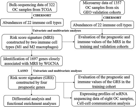 通过转录组和单细胞测序数据的综合分析鉴定卵巢癌患者的免疫亚型 Scientific Reports X Mol