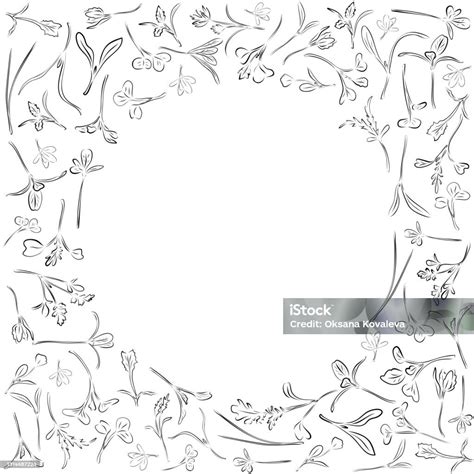 마이크로그린벡터 원형 윤곽선 프레임 허브 완두콩 해바라기 양파 옥수수 바질 중국 장미 시금치 회향 소렐 콜라드 딜 샐러드 버넷 콜라비 보리 흰색 배경에 타소이 새싹채소에