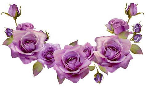 Purple Rose Bouquet Cut Out Stock Png 47601227 Png