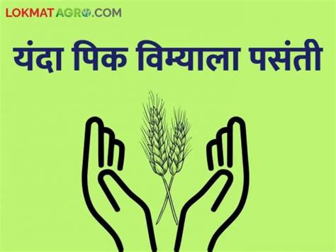 Kharif Pik Vima राज्यात वीस लाख शेतकऱ्यांनी काढला खरीप पीक विमा