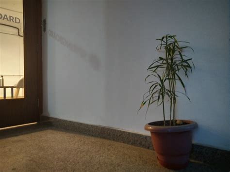 Zenfone Max Pro M Review The Best Budget Smartphone To Buy Beebom