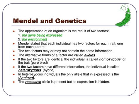 Ppt Mendel And Genetics Powerpoint Presentation Free Download Id
