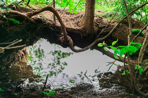 Img 7137 Iva Markovic Photography Flickr