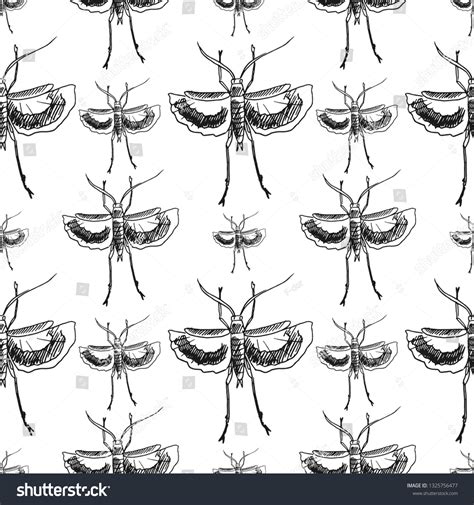 Grasshopper Seamless Pattern Isolated On White Stock Vector Royalty Free 1325756477 Shutterstock